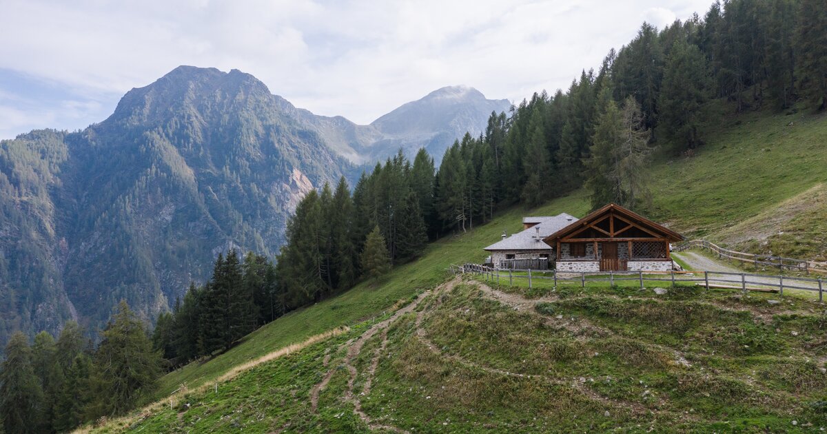 Malga Polinar, Val di Sole Trentino